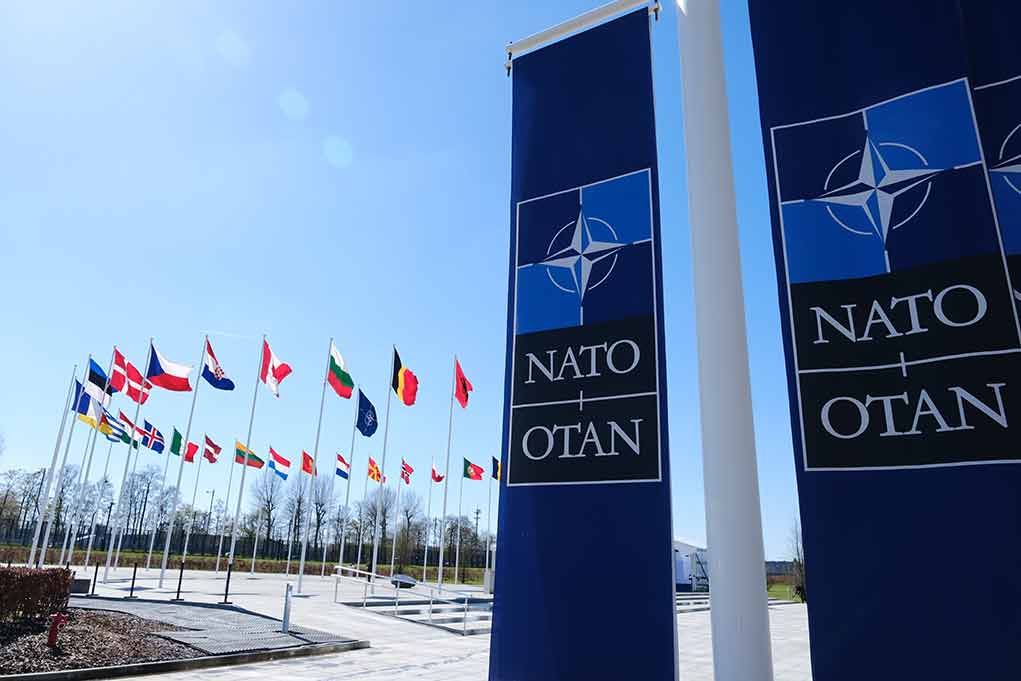 Scholz and Frederiksen Navigate Greenland Disputes and NATO Relations ...